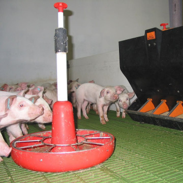 Plato maxi pan para slat plástico