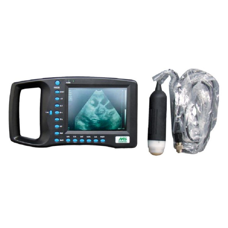 MS Multiscan Digital